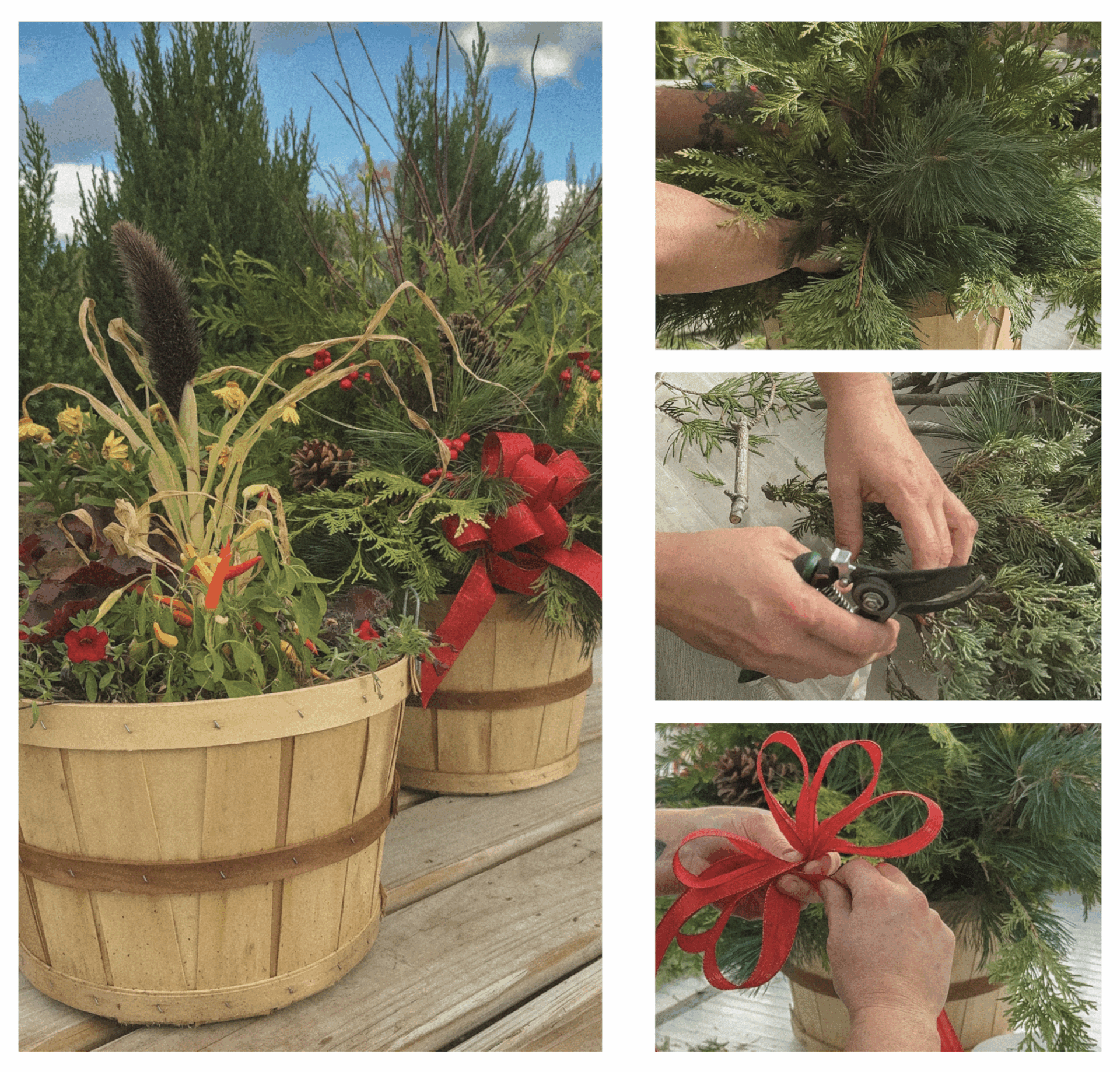 Workshop | Seasonal Container Flip - Briggs Garden & Home